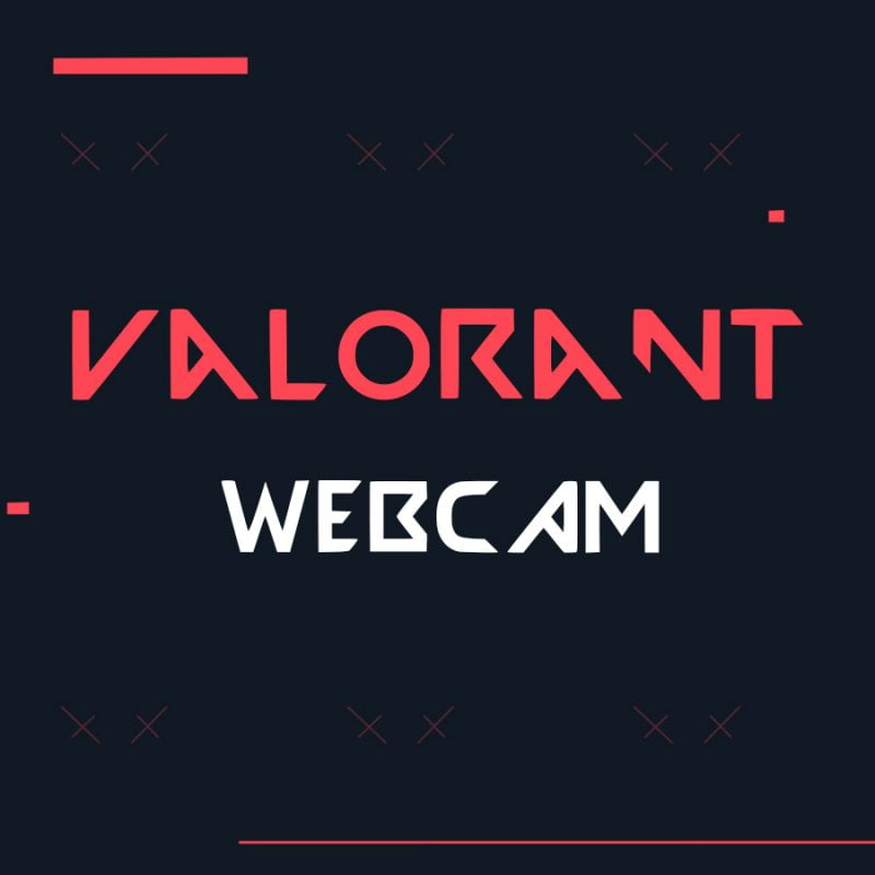 Valorant Webcam Overlay : Animated Facecam Hexeum