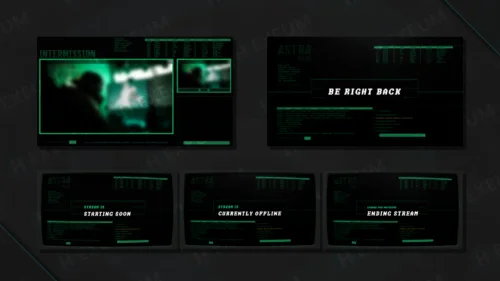 Fallout Twitch Overlay Package for OBS