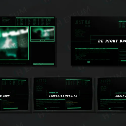 Fallout Twitch Overlay Package for OBS