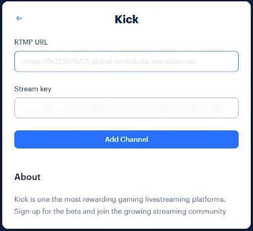 Mastering Kick's Streaming Platform - Hexeum